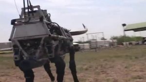 BigDog Olé