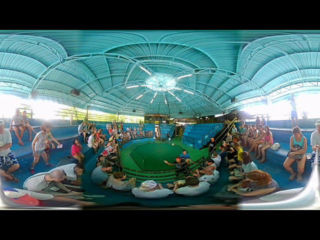360° Видео Паттайя Май 2018 на экскурсии  (змеиное представление) 2