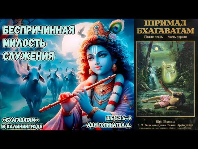 Беспричинная милость служения. Ади Гопинатха д. ШБ.5.3.6–9