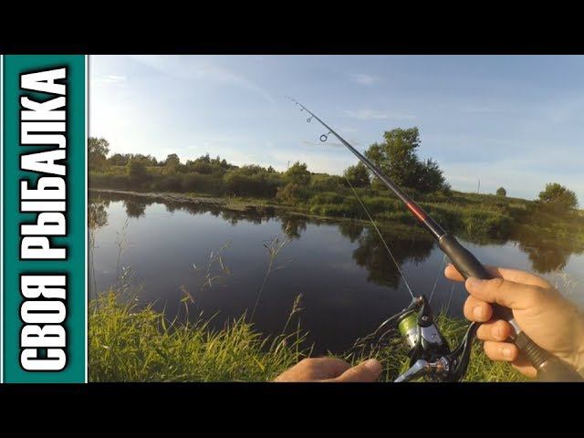 Ловля голавля на реке Дубна. Вечерний релакс