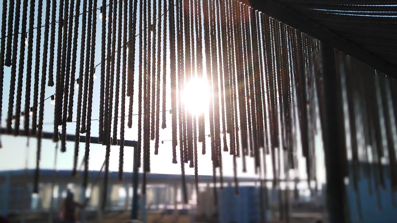 Мы на море впервые 2016 год