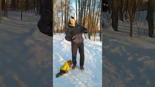 #adam DJ Antonio❄А может просто снегом стать⛄#shorts #tiktok.mp4