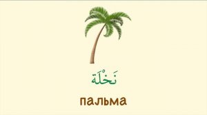 УЧИМ АРАБСКИЙ - слова из Корана (часть 2)