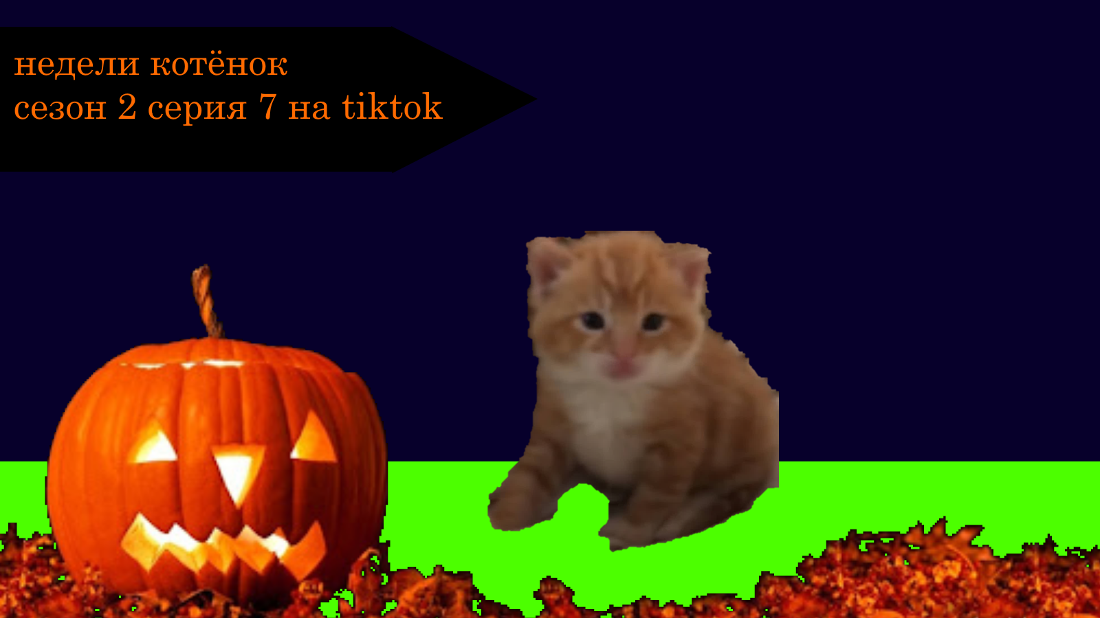 Недели котёнок сезон 2 серия 7 на tiktok