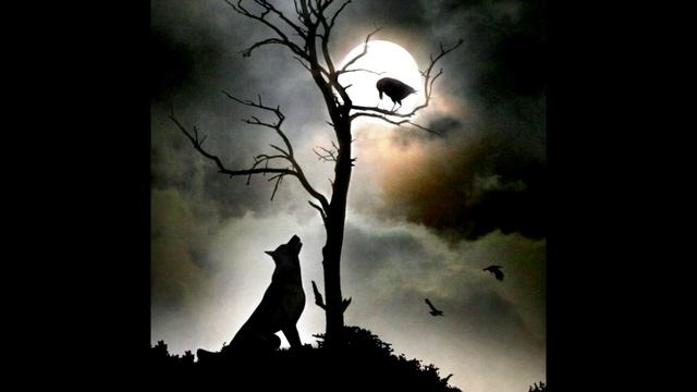 Библия. 55-17. Деяния святых Апостолов (17). Пройдя через Амфиполь и Аполлонию.