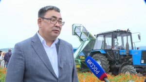 Дневник «Приоритет 2030. Дальний Восток. Бурятия». Выпуск 1