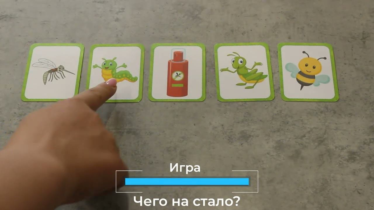 Игры памяти "Насекомые"