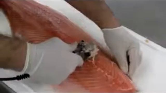 Удаление вилочных костей рыбы