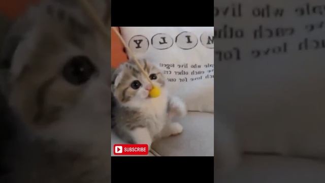 Ну ты и глазастый.mp4