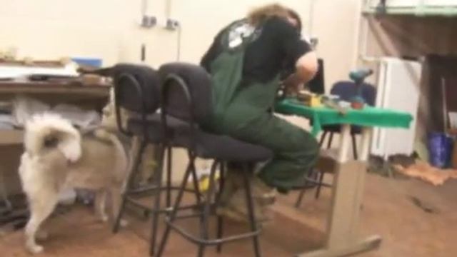 Гитарный мастер Гитарейро-Собакус (Россия)