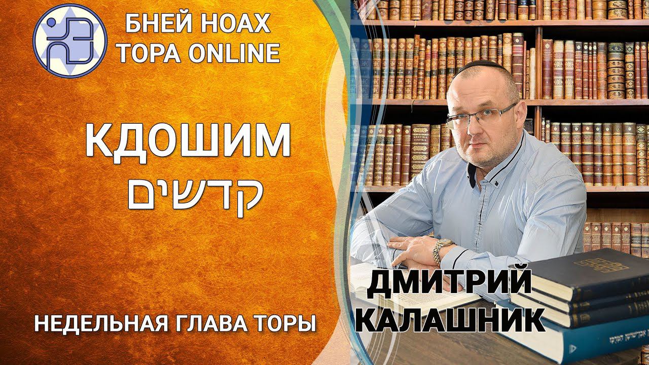 Недельная глава КДОШИМ || Дмитрий Калашник || 5782