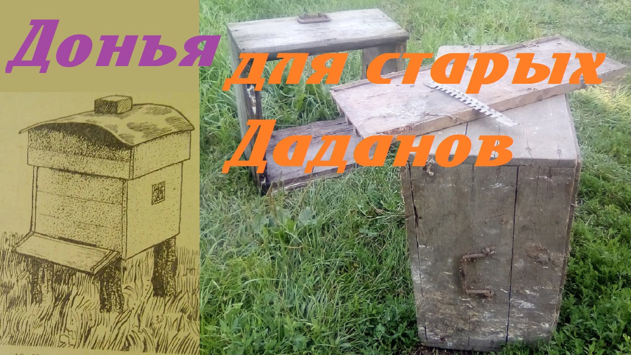 Донья для старых Даданов