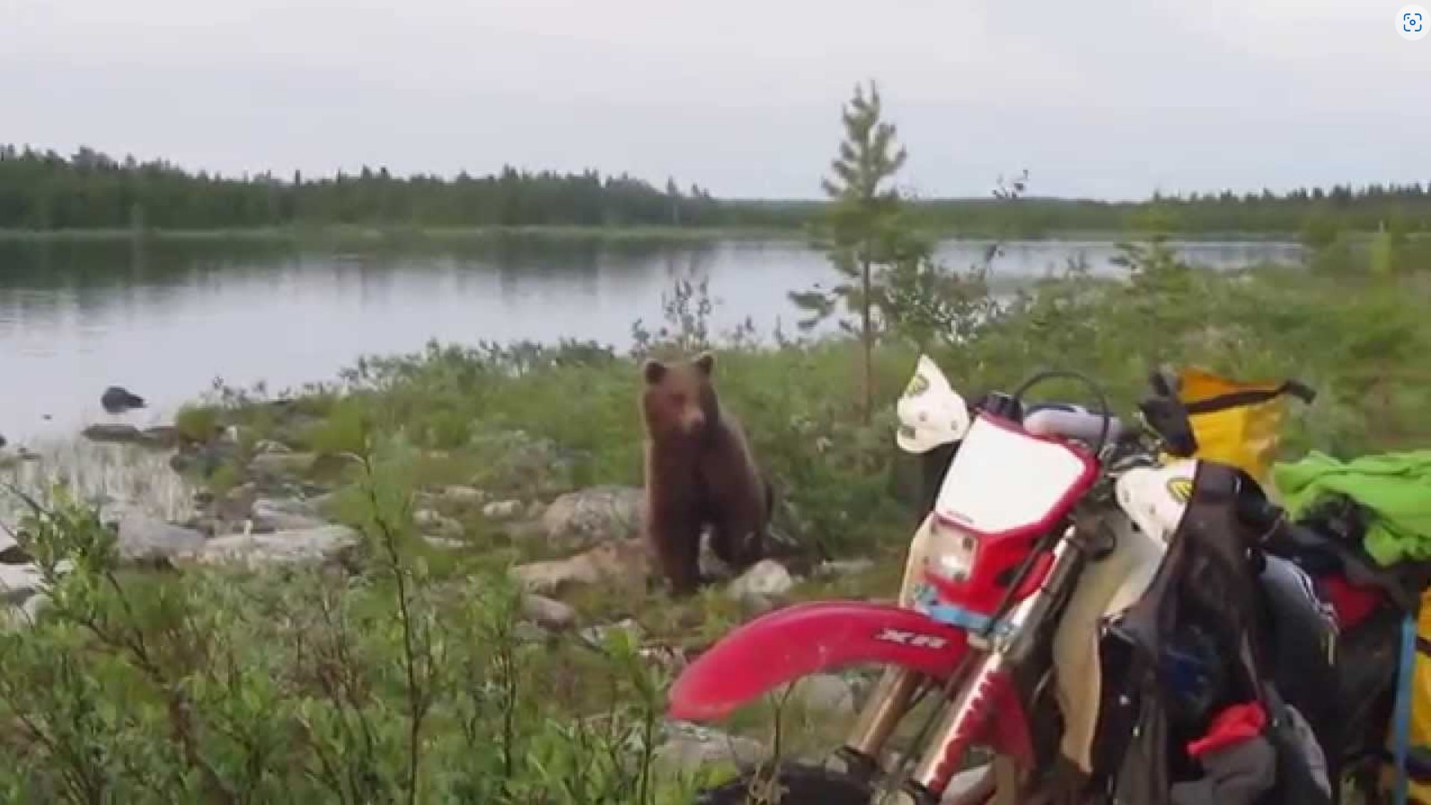 Как мы на Кольском от медведя отбивались....