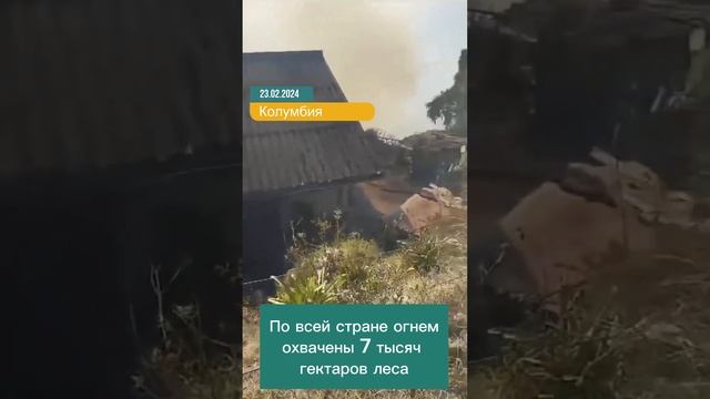 Колумбия в огне!