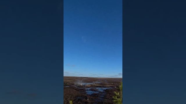 С Охоты На рыбалку на RUTUBE: 157 видео – смотреть онлайн и бесплатно ...