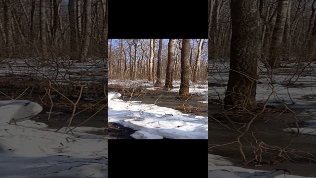 1000011732.mp4