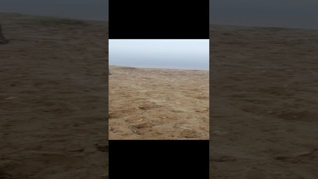 Чистота Линевского озера