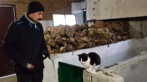 Нутрії: вольєри для нутрій, їх розміри