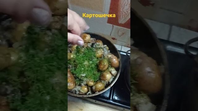 картошка с грибами