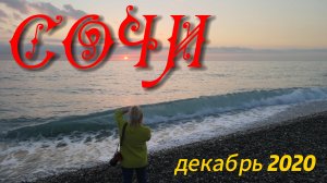 Сочи, декабрь - 2020