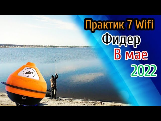 ФИДЕР В МАЕ И НОВЫЙ ПОМОЩНИК