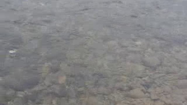 8 ДОРОГА