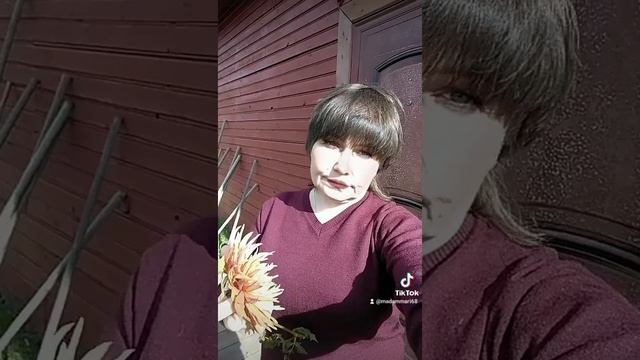 Добрососедские отношения?