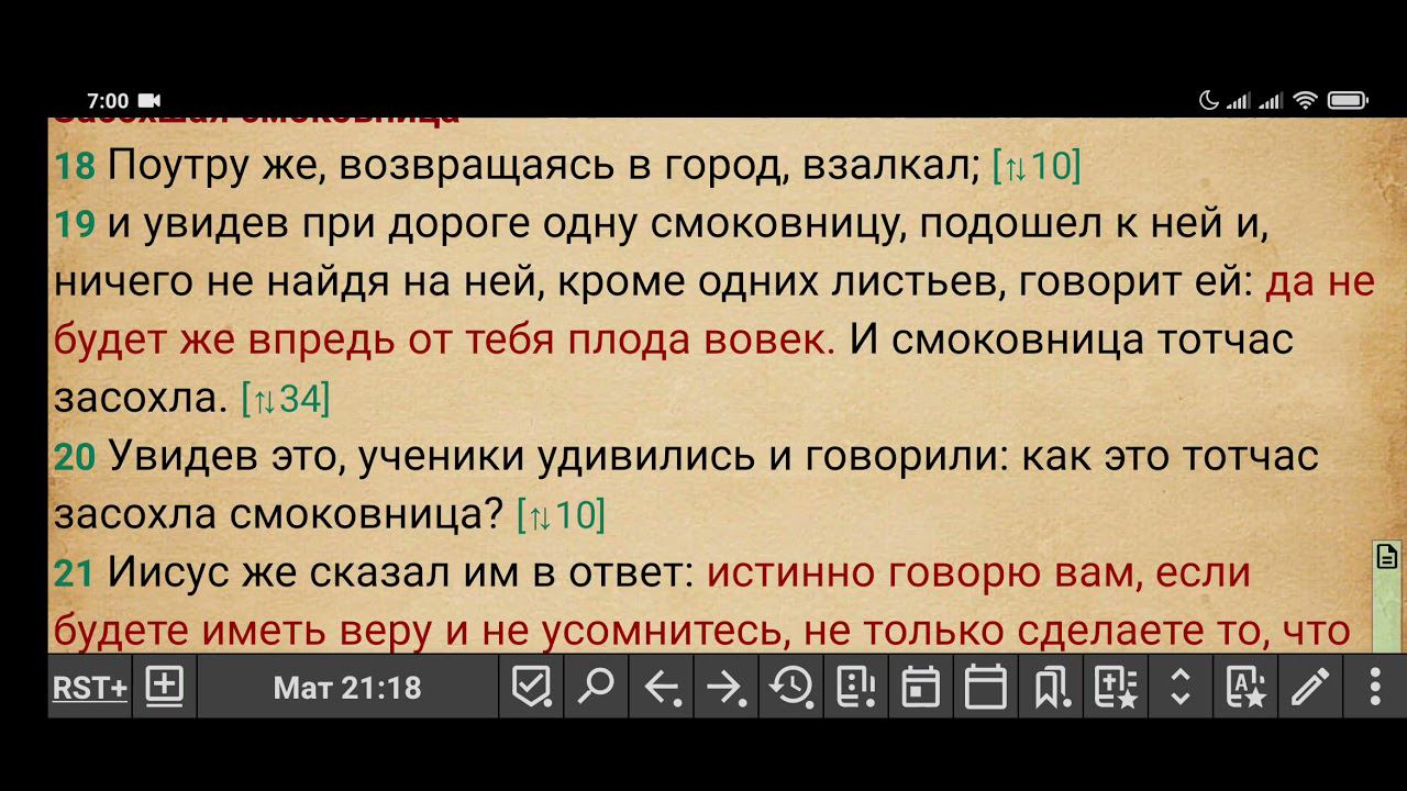Почему Иисус проклял смоковницу?