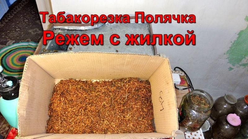 Табакорезка - Полячка : режем лист с жилкой.