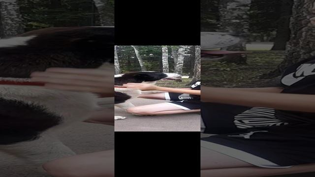 Алабай и дети! (Питомник ЗУР БАШИ) +79373699903 WhatsApp.