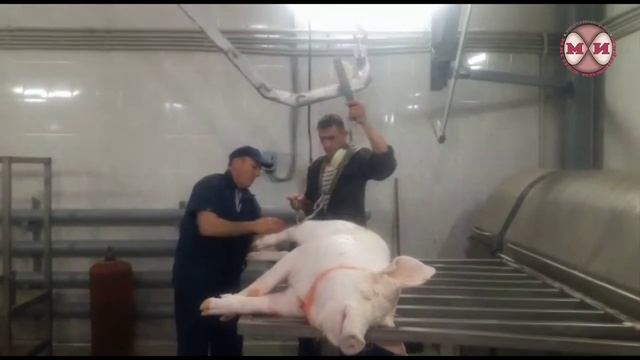 Чан шпарильный со скребмашиной КР-ФЧШС