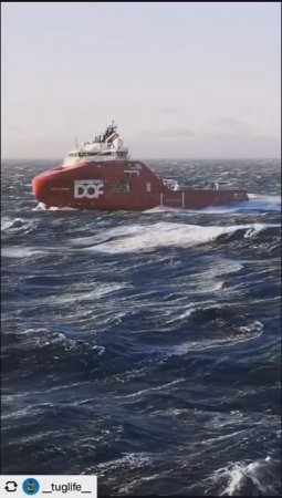 Конструкция парусного судна - Носовая оконечность - X-bow