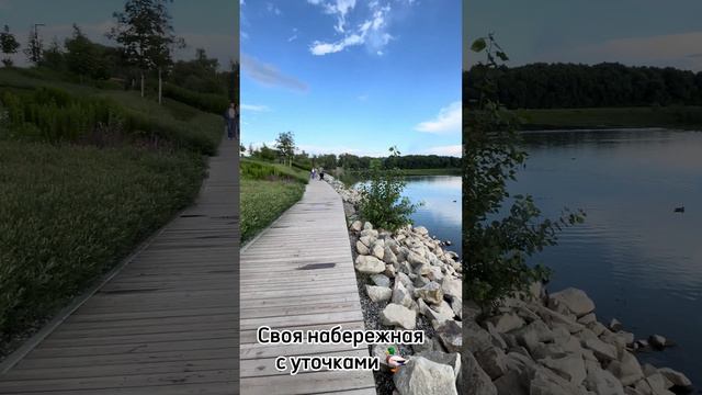 🙅♂️ Не покупай вторичку в Новосибирске,не посмотрев это видео #новосибирск #новостройкиновосибирск