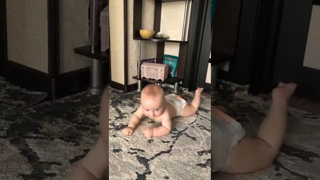 27 января 2024