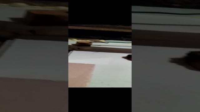 Ремонт пола на даче. Делаем творило погреба.