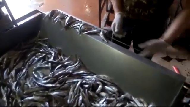 Устройство для накалывания мелкой рыбы