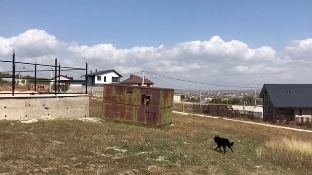 Обзор элитного участка под ИЖС в Крыму, село Краснолесье, улица Ежевичная.Свет.ГАЗ.Отличный заезд