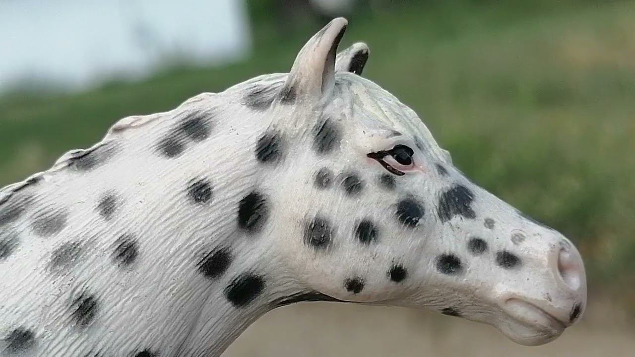 Сериал шляйх Любовь без границ серия 8 (Я тут не причем)