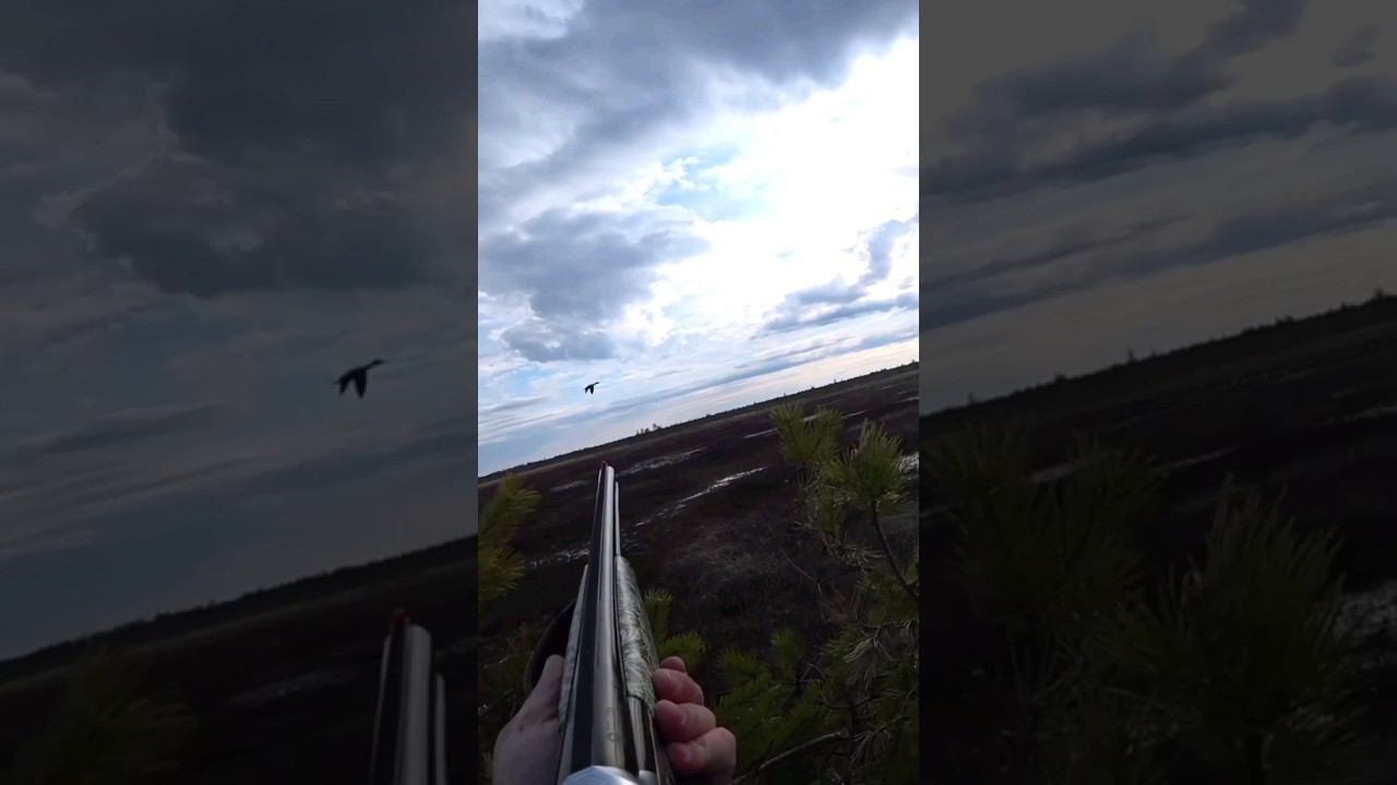 С Охоты На рыбалку на RUTUBE: 157 видео – смотреть онлайн и бесплатно ...