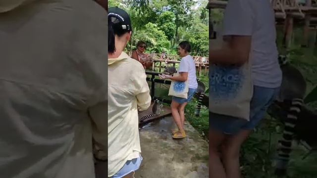 Остров лемуров в зоопарке Кхао Кхео.mp4