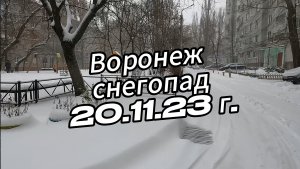 Воронеж, снегопад 20.11.23 г.