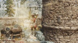 SKYRIM SE, WO LONG MONK WARRIOR MCO MOVESET!