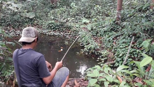 Lunga mancing ikan dokun/Sumatra fish di hutan-japala adventure ...