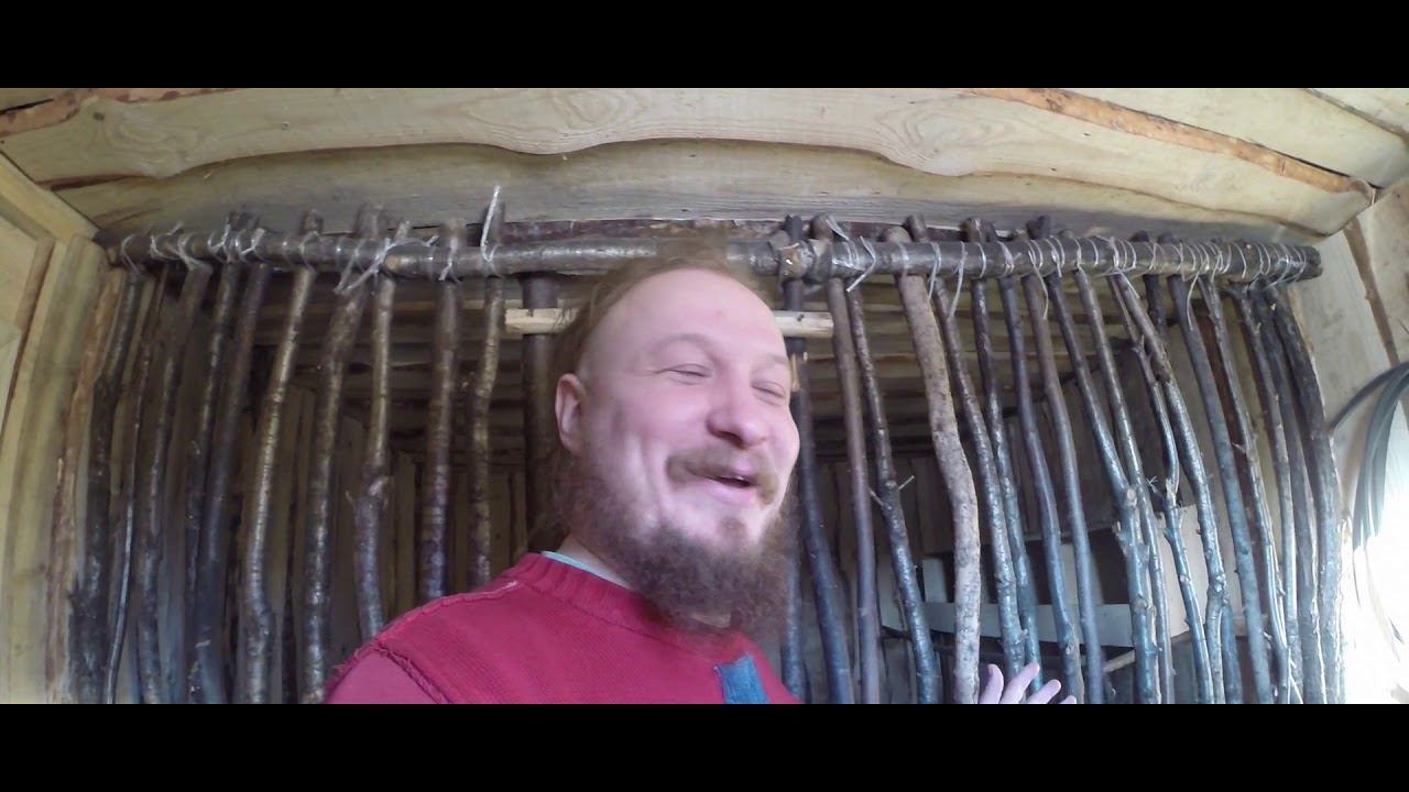 СОБАКИ ll ПЁТР И ПЕТРУЧО ll  День 56