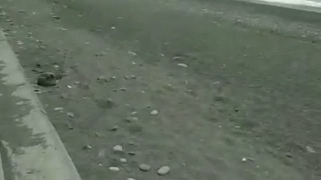 Волны, волнорезы, забор... Адлер, пляж. 20 апреля 2020г., утро