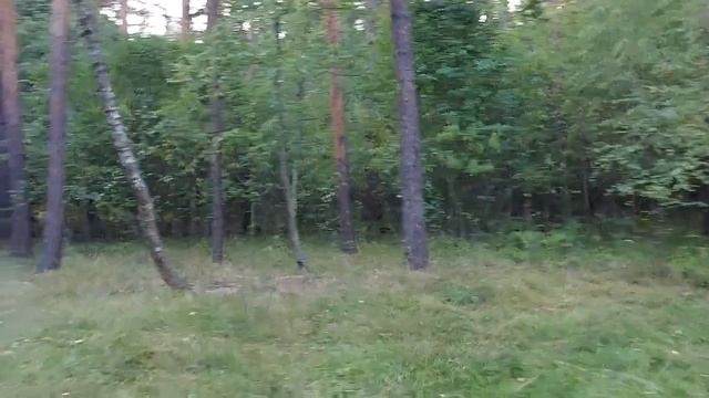 ЗАДОБРИЛИ ДУХОВ ЛЕСА . ИНГА ХОСРОЕВА . ВЕДЬМИНА ИЗБА ?