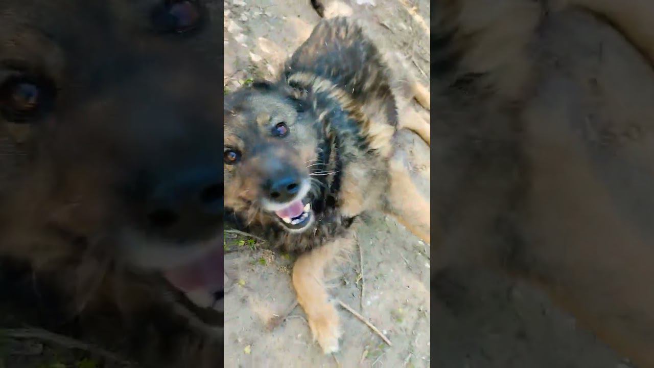 Жуля кайфует)