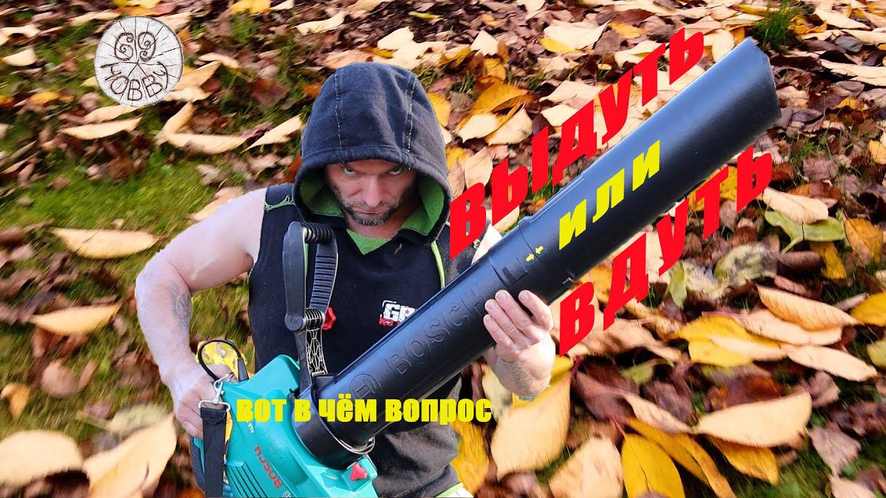 Воздуходувка BOSCH ALS 2400 Обзор, Плюсы и Минусы после двух лет эксплуатации!