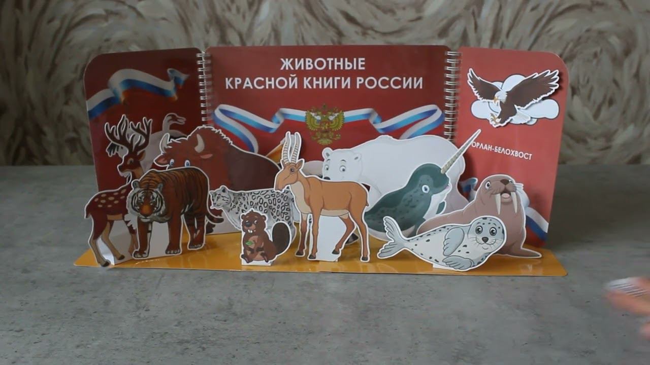 Макет "Животные Красной книги России"