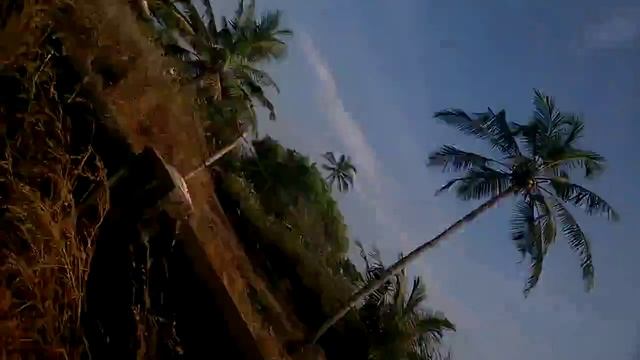 Гоа Морджим едем в Арамболь на байке